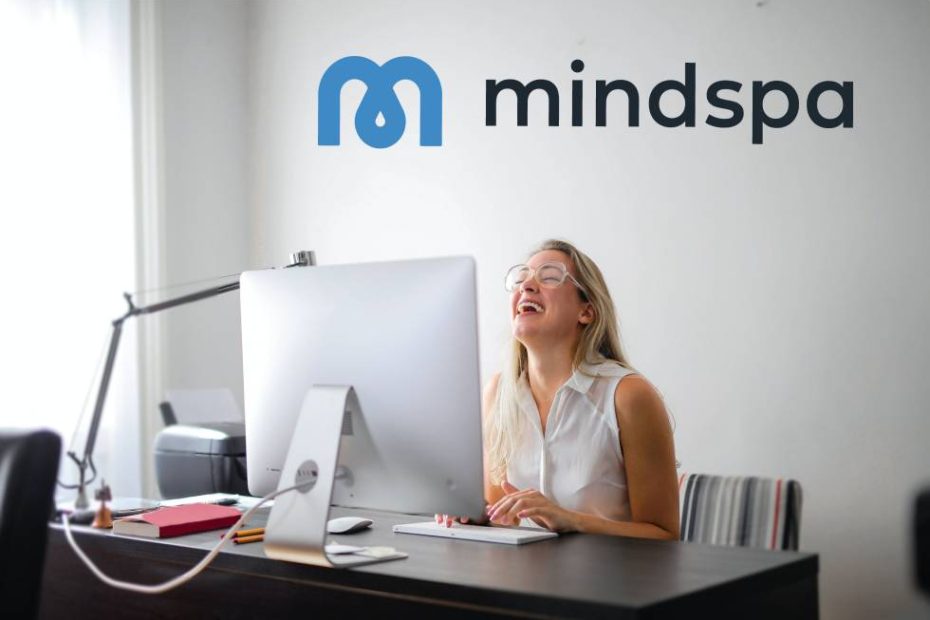 Conference hall – Mindspa